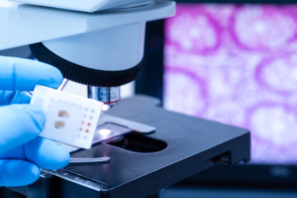 Departments | Milestone Medical