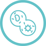 Milestone Medical | Helping Patients