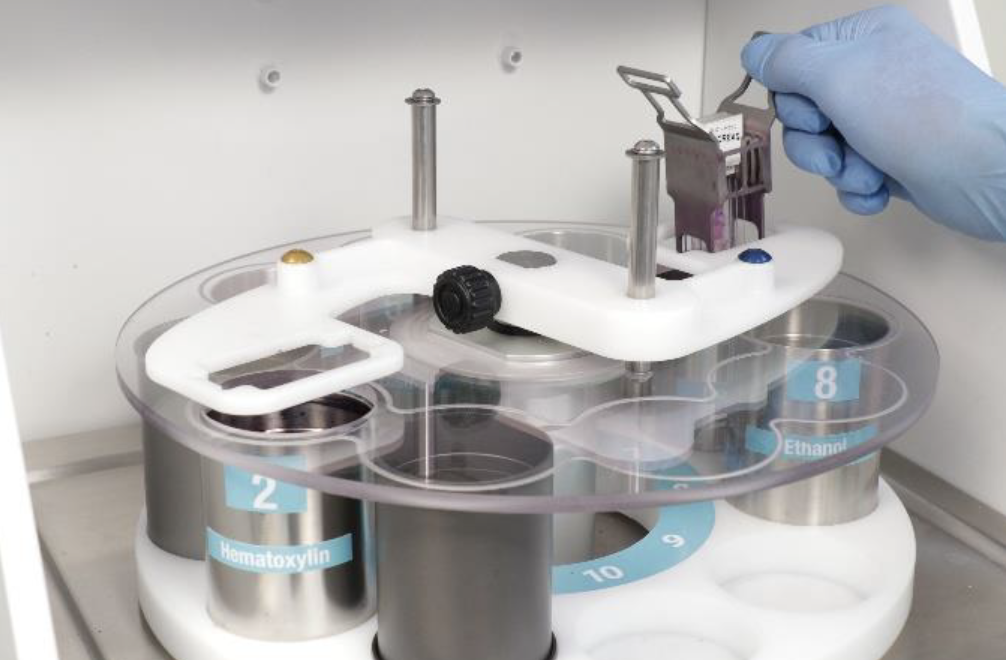 How to Enhance the Quality of your Frozen Sections | Milestone Medical