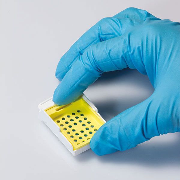 SYNERGY | Milestone Medical